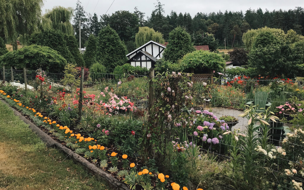 Capernwray Harbour | Accommodations to Suit Your Needs